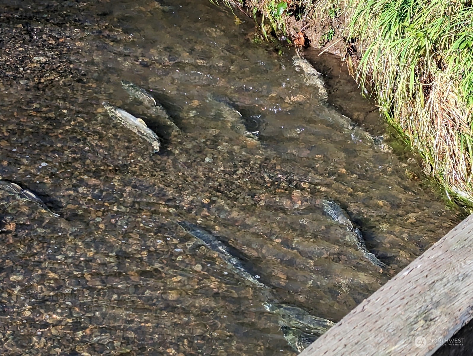 4466 W State Route 108, Shelton, WA 98584