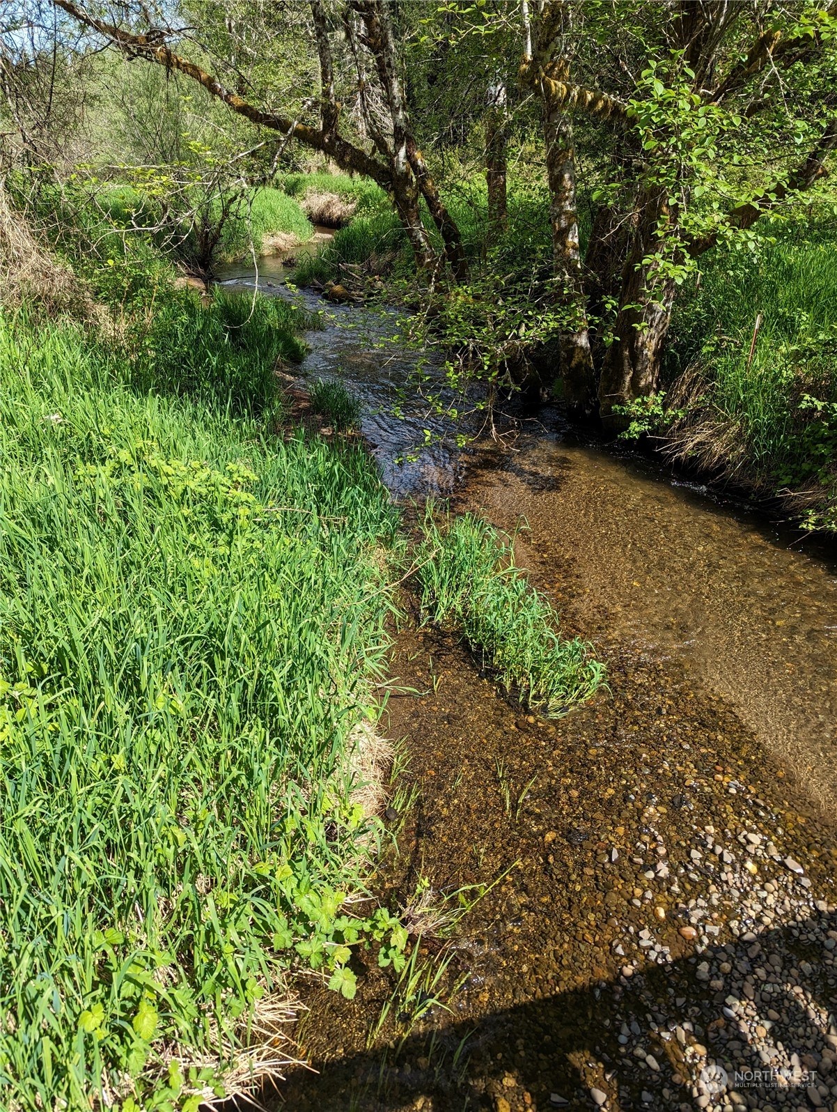 4466 W State Route 108, Shelton, WA 98584