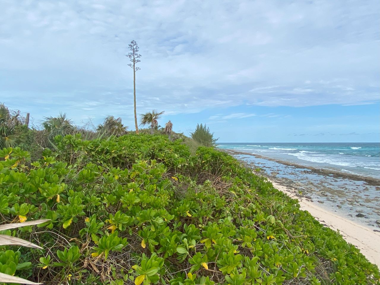 Eleuthera Point, The Bahamas