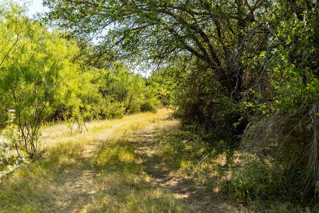 12243 N Ranch Road 783, Doss, TX 78618